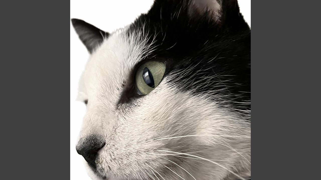 Y ya ! (feat. Esmor) - YouTube