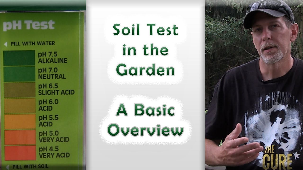 Soil Test in the Garden | Basic Overview - YouTube