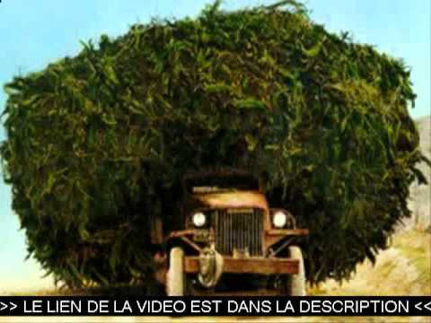 La marche du cannabis 2014