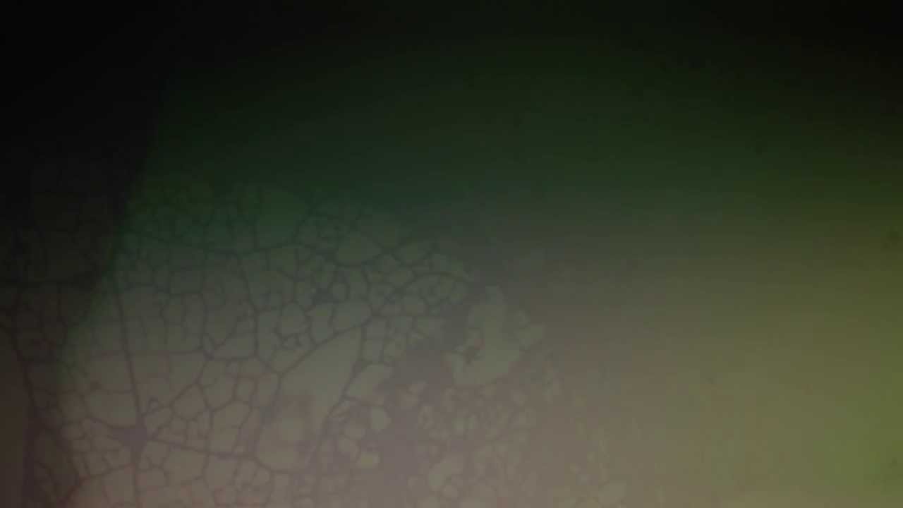 moving texture 19 [for Sony Vegas] HD - YouTube