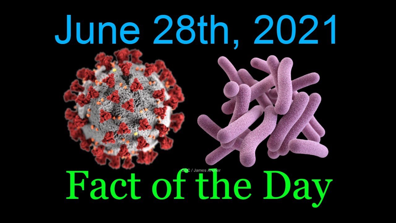 June 28th Fact of the Day (2021) - YouTube