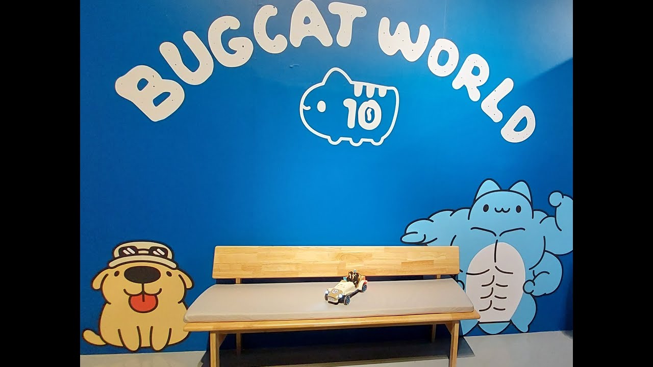 My CAPOO 10th Anniversary edition R/C car - YouTube