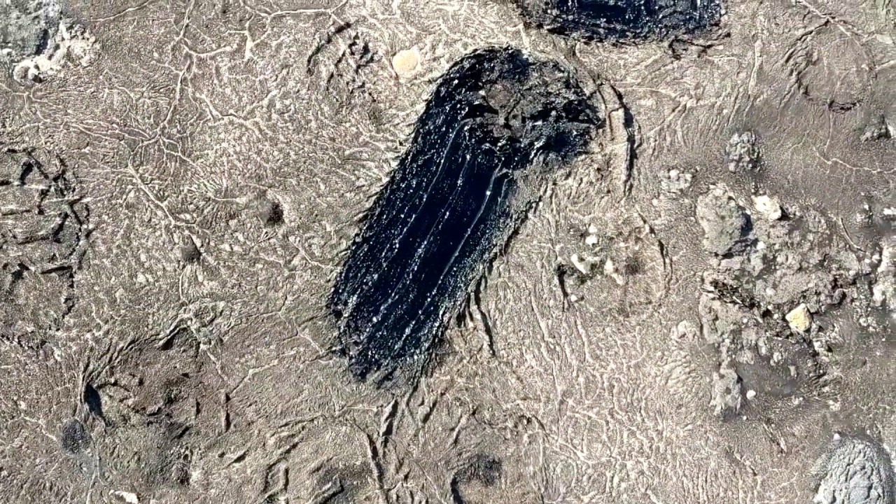 Tar Pits Park, Carpinteria, California - YouTube