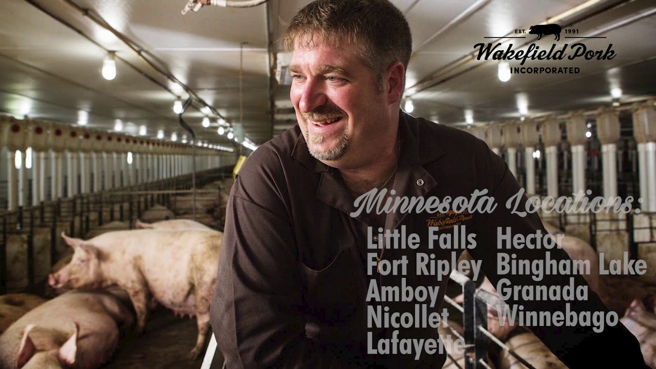 Wakefield Pork Recruitment - YouTube