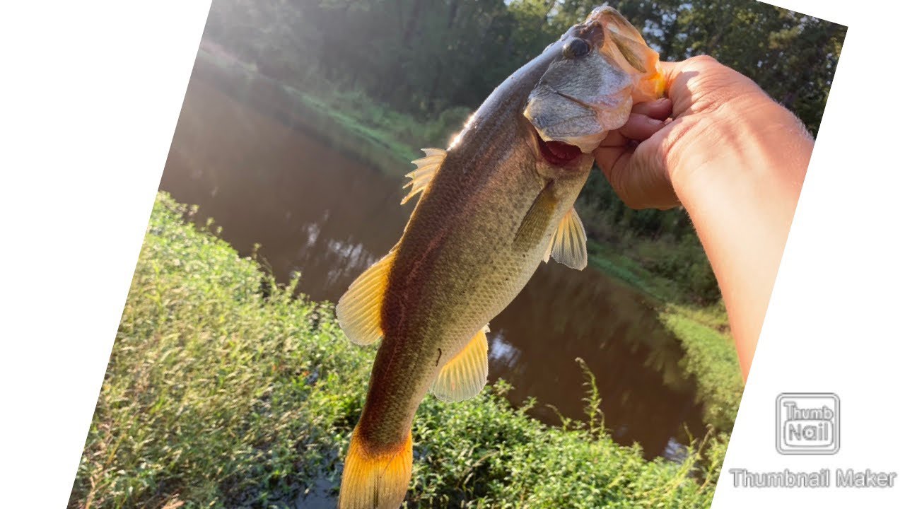 First Cast Fish!! Second fishing video. - YouTube