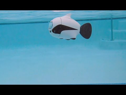 BIKI is a Bionic Underwater Fish Drone - YouTube