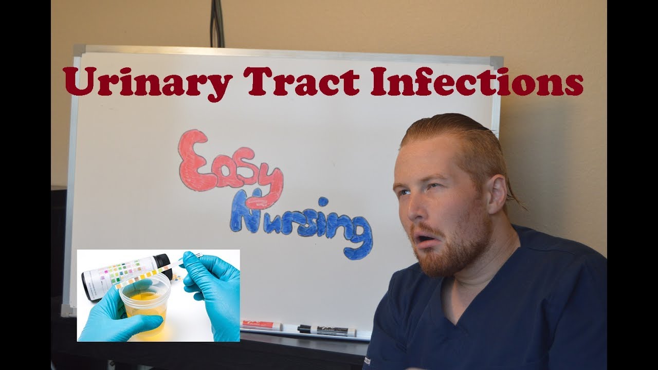 Urinary Tract Infection (UTI) - NCLEX Review - YouTube