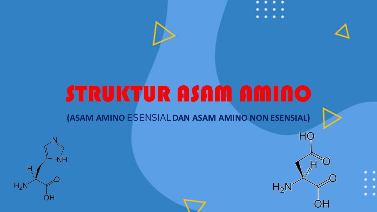 STRUKTUR ASAM AMINO | AMINO ACID STRUCTURE | ASAM AMINO ESENSIAL | ASAM ...