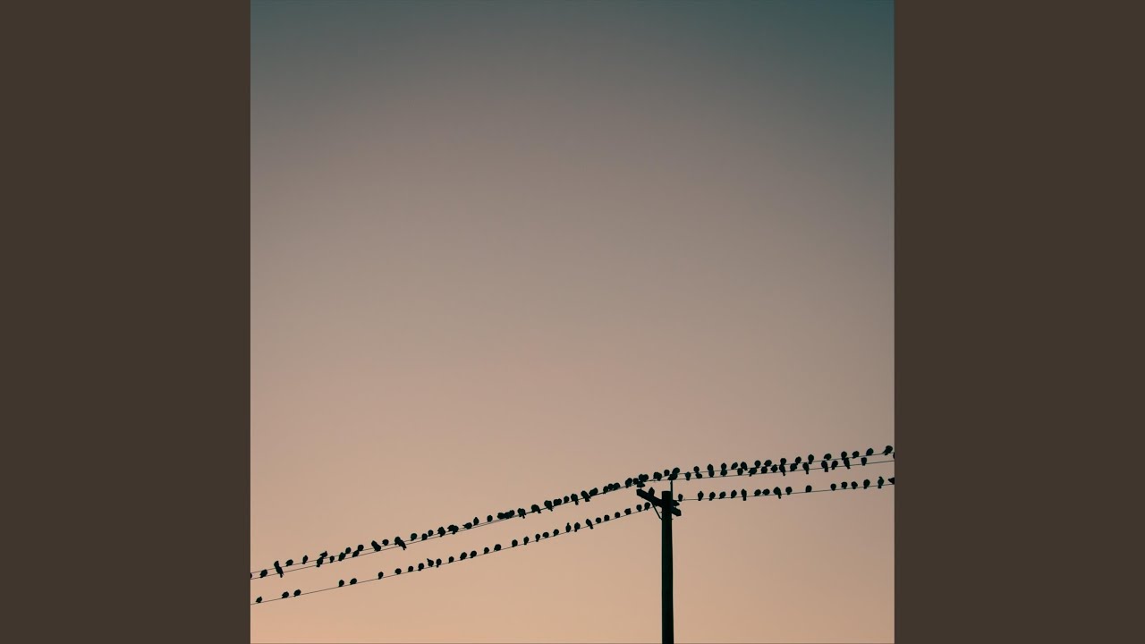 Walk, Then Fly - YouTube