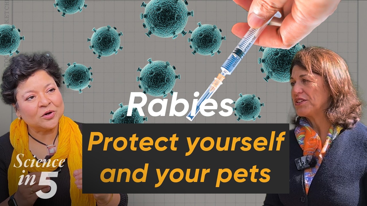 WHO's Science in 5 - Rabies: Protect yourself and your pets - 27 ...