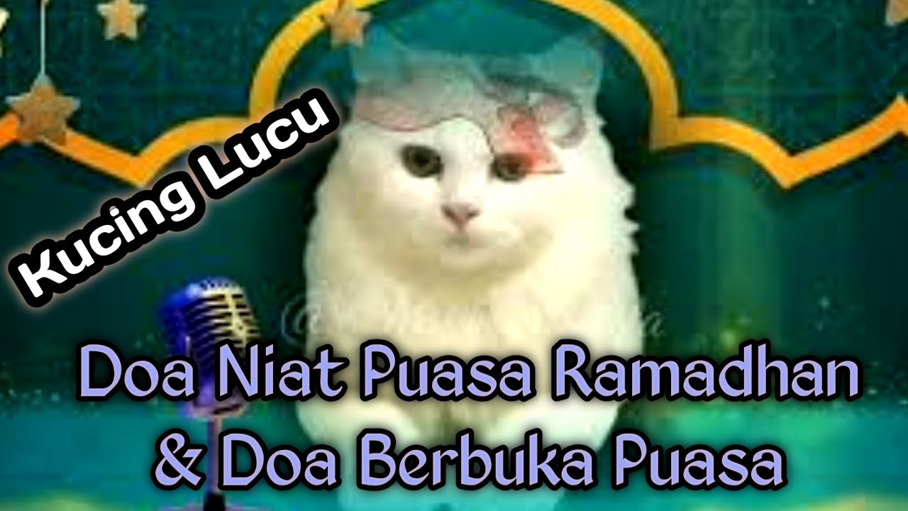 Kucing Lucu Doa Niat Puasa Ramadhan dan doa berbuka - YouTube