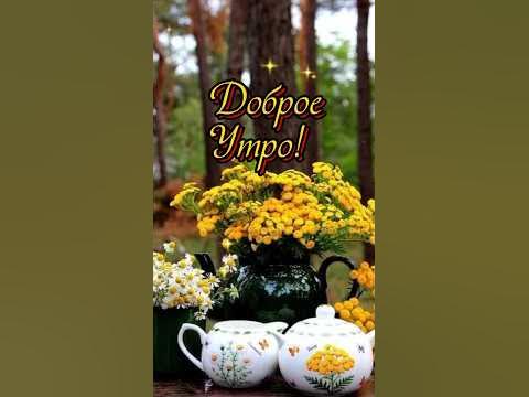 Доброе утро! - YouTube