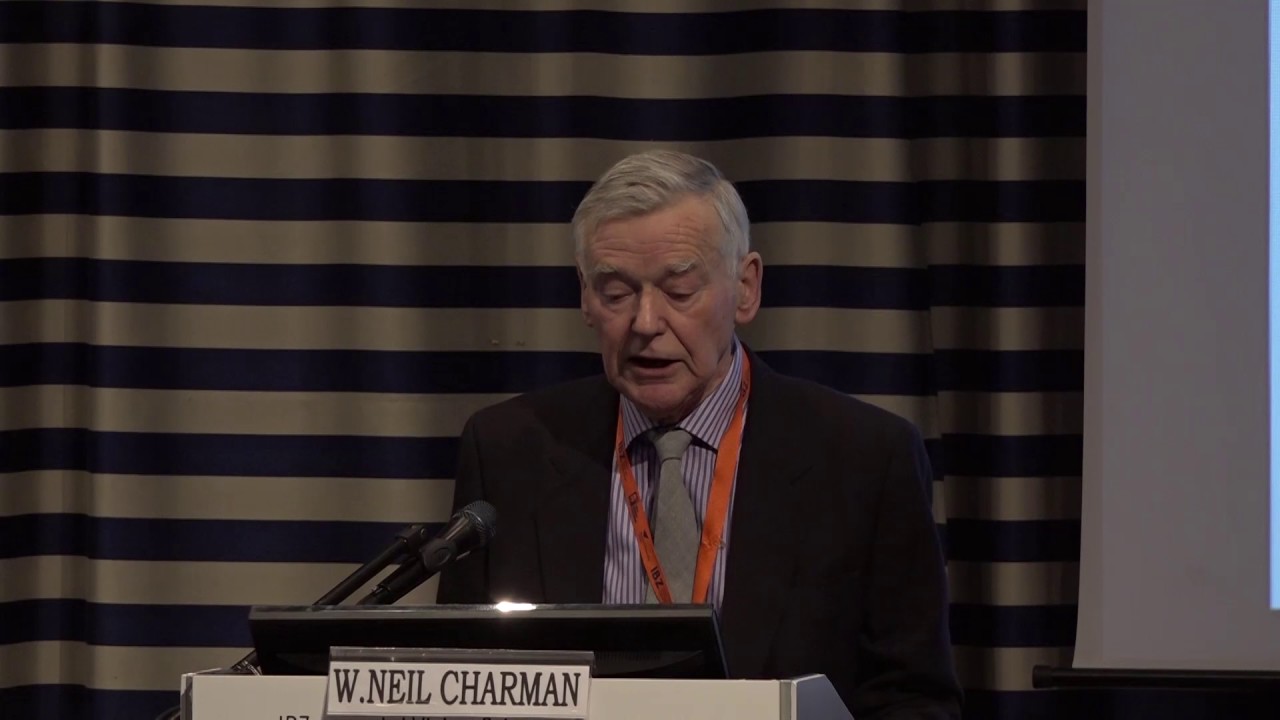 XX Congresso Interdisciplinare - Neil Charman - YouTube