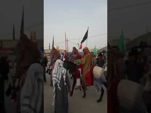 Ərbəyin ziyarəti 201