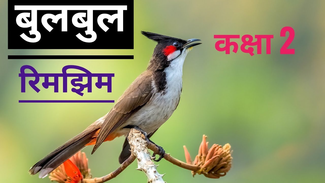 Bulbul | Rimjhim | Hindi | Class 2 | NCERT | CBSE | bulbul | Chapter 9 ...