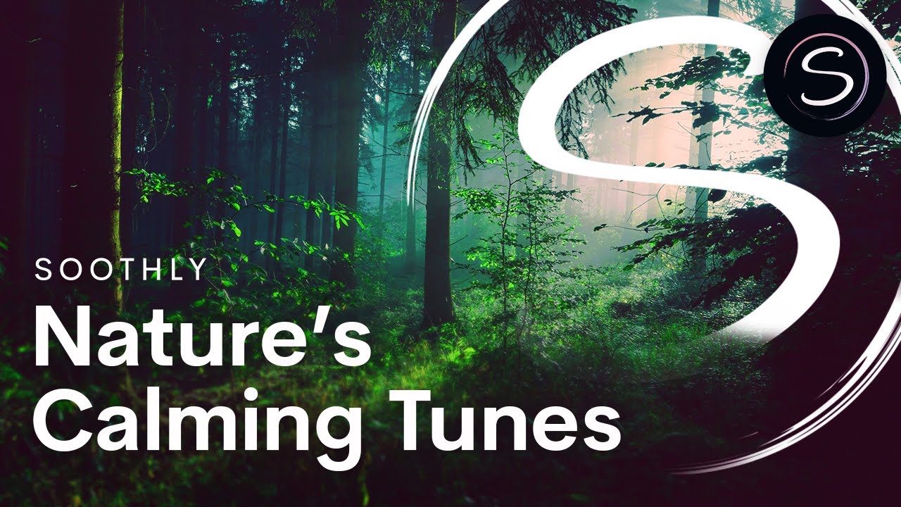 Nature's Calming Tunes - Relaxing Nature Music - YouTube