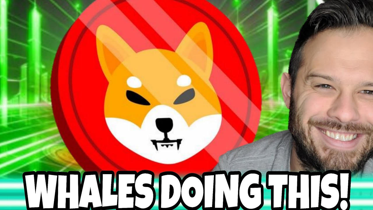 Shiba Inu Coin | SHIB Whales Are Doing This Ahead Of The Fed Meeting ...