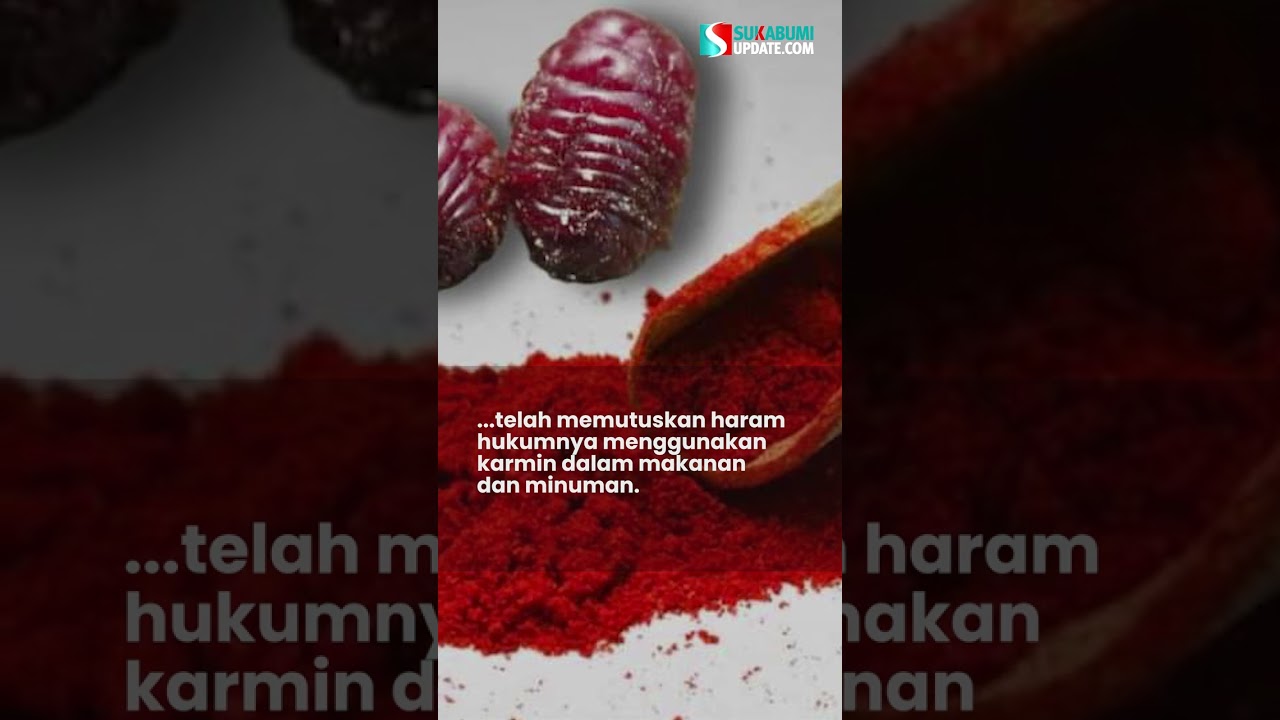 Karmin Halal atau Haram? Ini Penjelasan Resmi dari LPPOM MUI - Sukabumi ...
