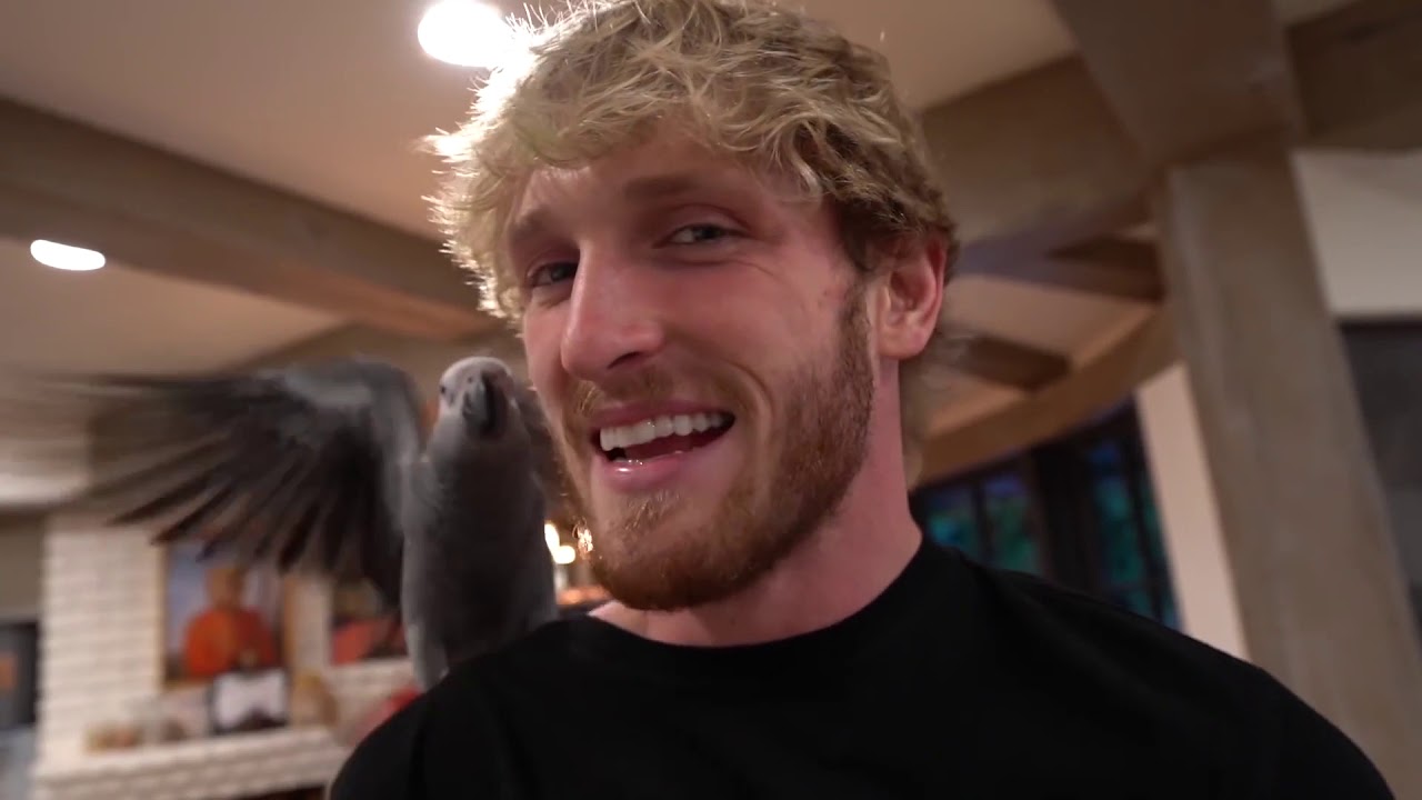 Sir the Gray Best Moments From Logan Paul Vlogs part 1 - YouTube