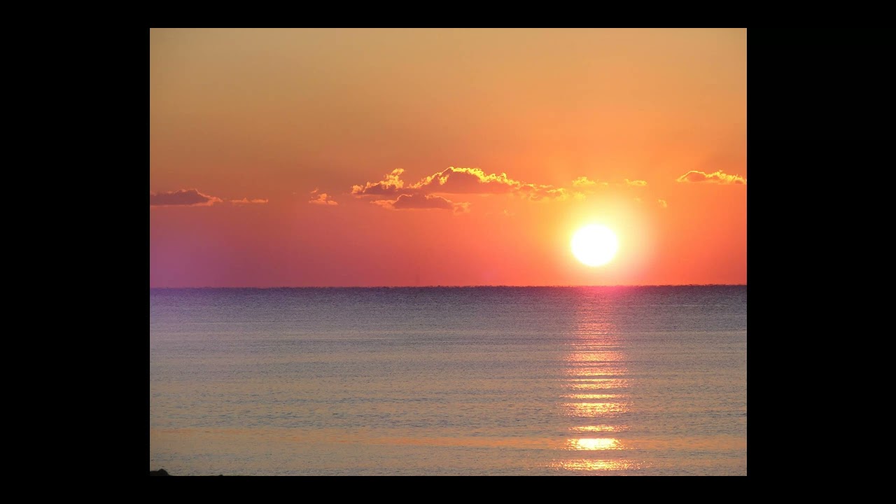 sunny day song AMV offical - YouTube