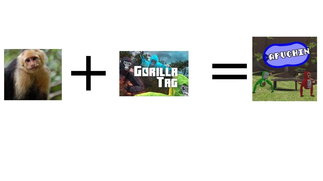 Capuchin On Steam Is Kinda Weird - YouTube