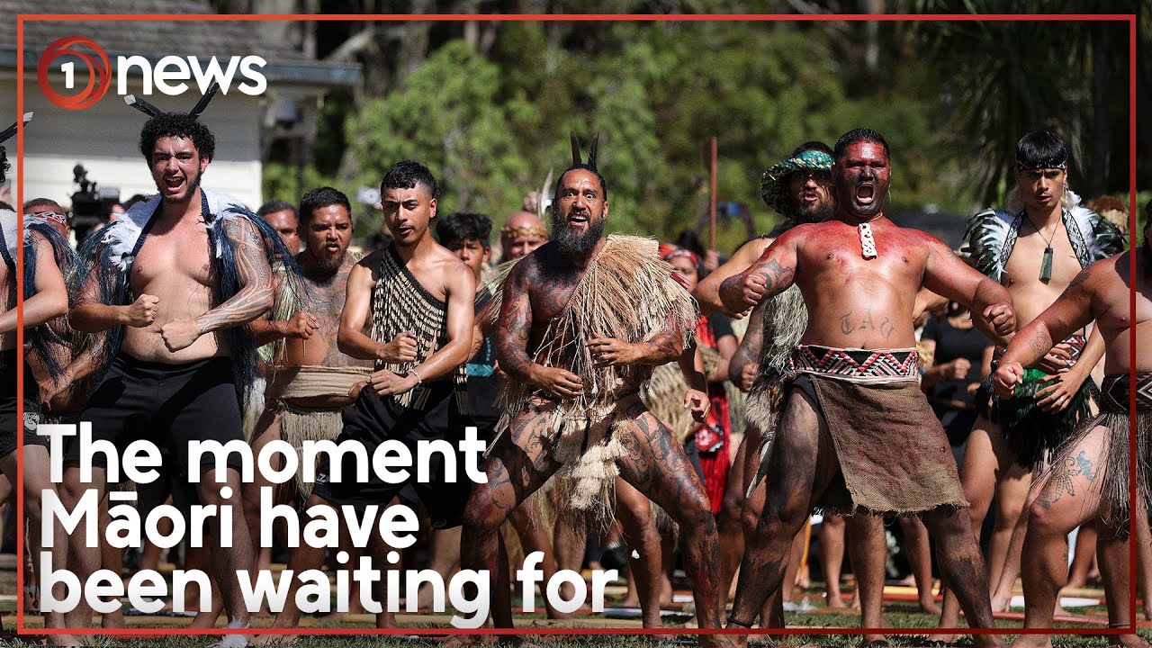 Peaceful protests mixed with fiery speeches and strong retorts | 1News ...