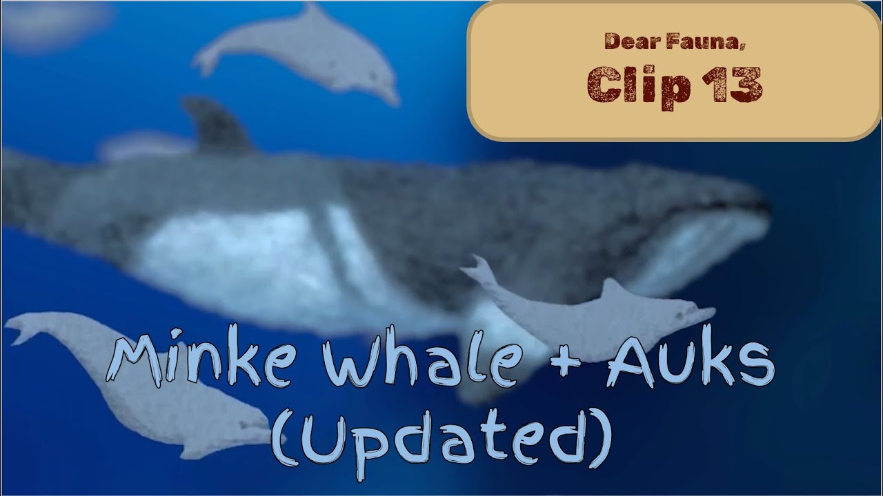 Cliffside Penguins and Minke Whale STOP-MOTION - YouTube