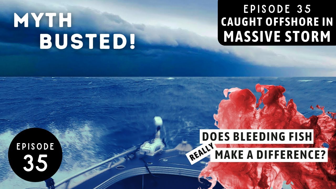 CAUGHT OFFSHORE IN A MASSIVE STORM | Does BLEEDING FISH REALLY MAKE A ...