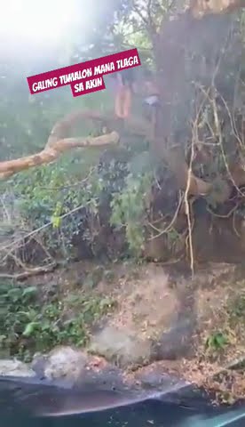 GALING TUMALON #shortvideo - YouTube