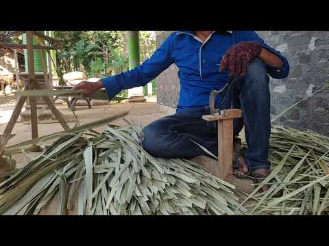 Cara Mengiris daun siwalan untuk di bikin tikar - YouTube