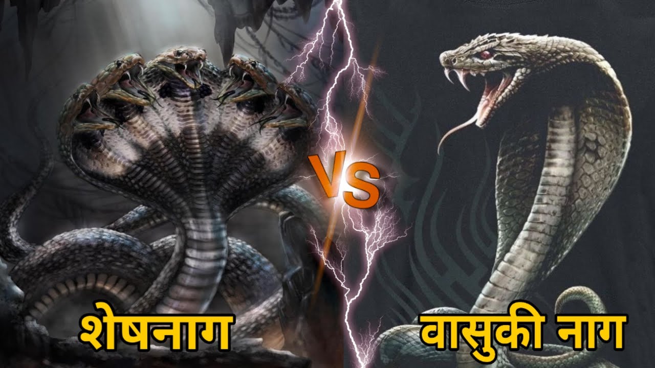 शेषनाग और वासुकि नाग में कौन अत्यधिक शक्तिशाली ? SHESHNAAG VS VASUKI ...