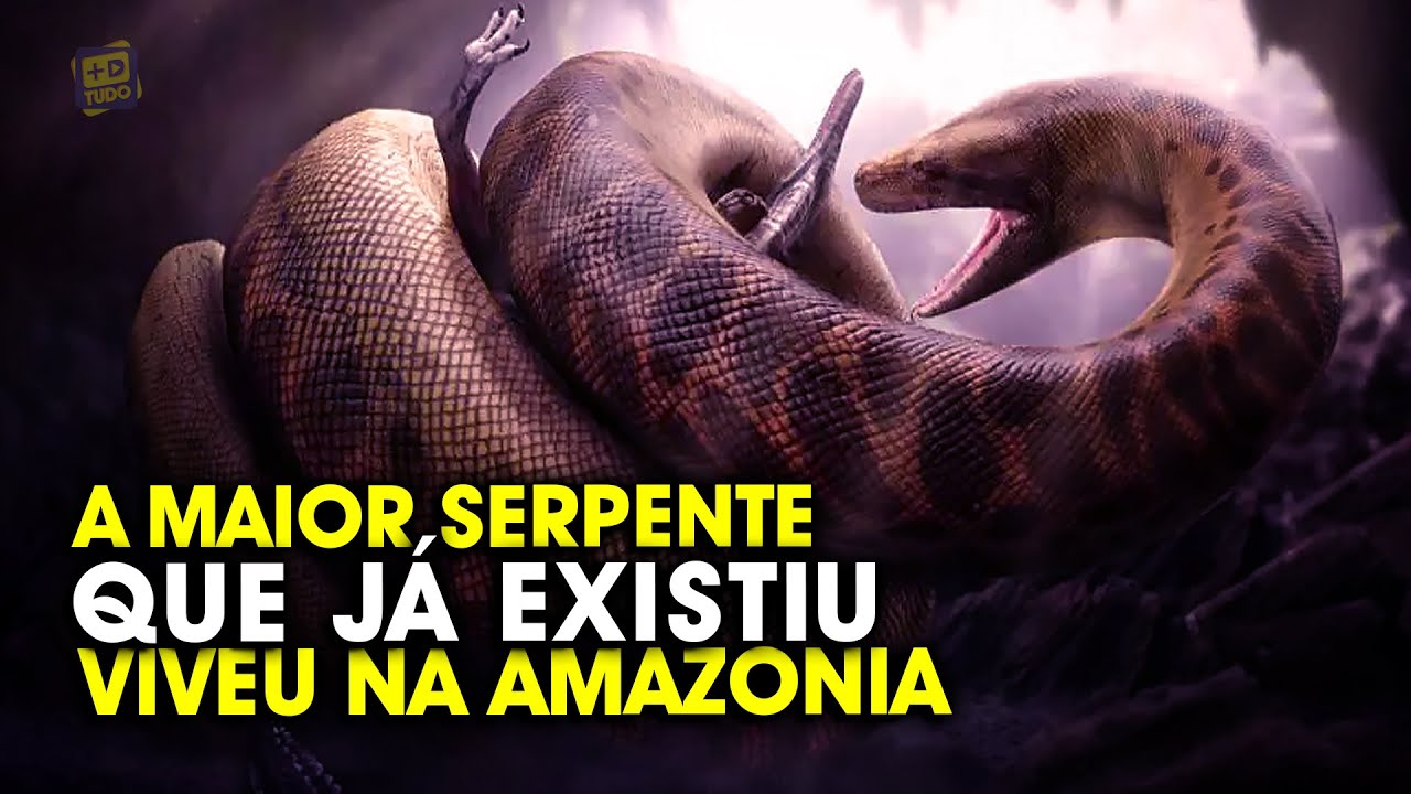 Como Descobrir O Maior Animal Do Mundo