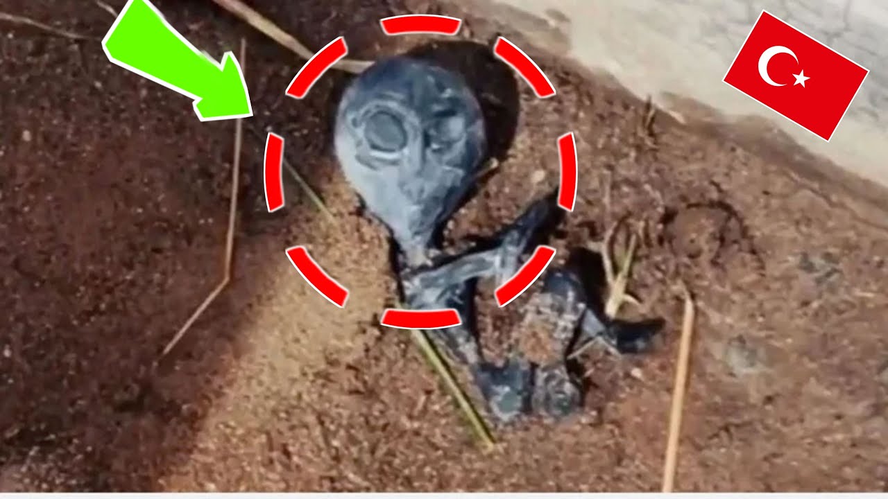 Aliens in Bolivia: Dead Alien found in the Bolivia 😱 | Bolivia | Aliens ...