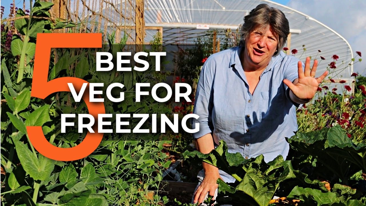 5 Essential Vegetables to Grow to Fill the Freezer and 1 Not to Grow ...
