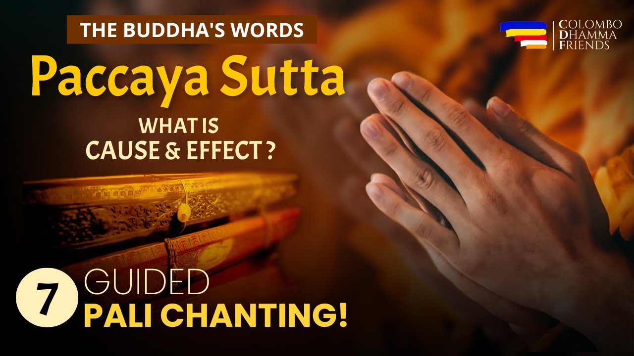 Paccaya Sutta | Dependent Origination - Cause and Effect | Guided Pali ...