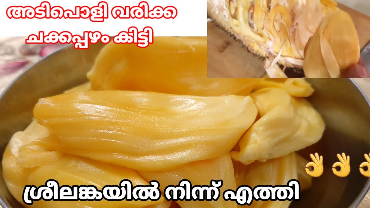 നമുക്കും കിട്ടി കിടിലൻ വരിക്ക ചക്കപ്പഴം#chakkappazham#jackfruit# ...