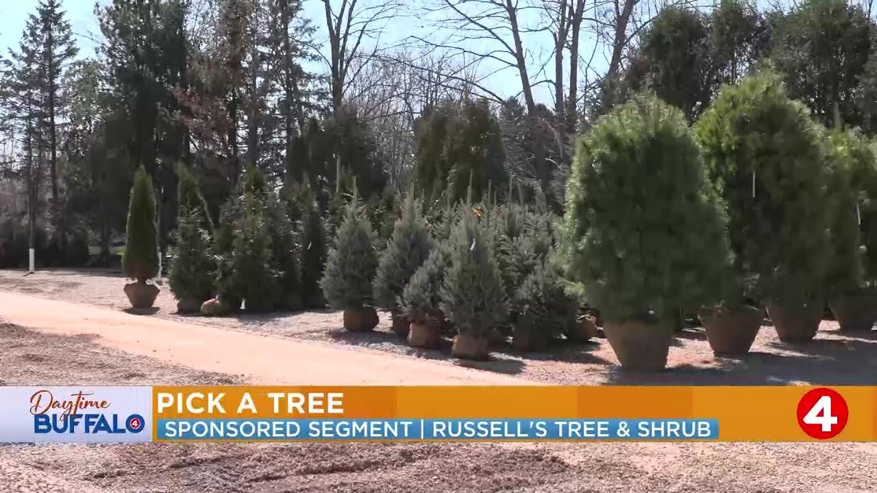 Daytime Buffalo: Pick A Tree | Sponsored by Russell's Tree & Shrub Farm ...