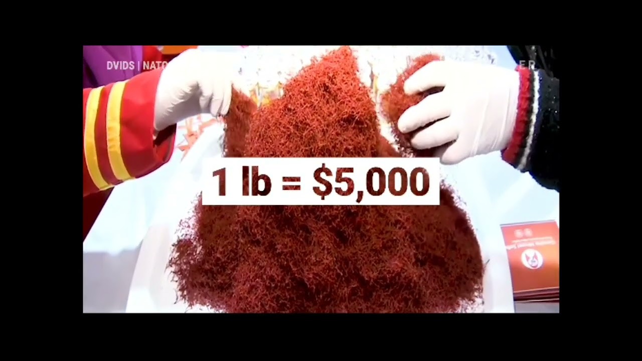 Saffron Top 10 World's Most Expensive Spices | Why Real Saffron Is So ...