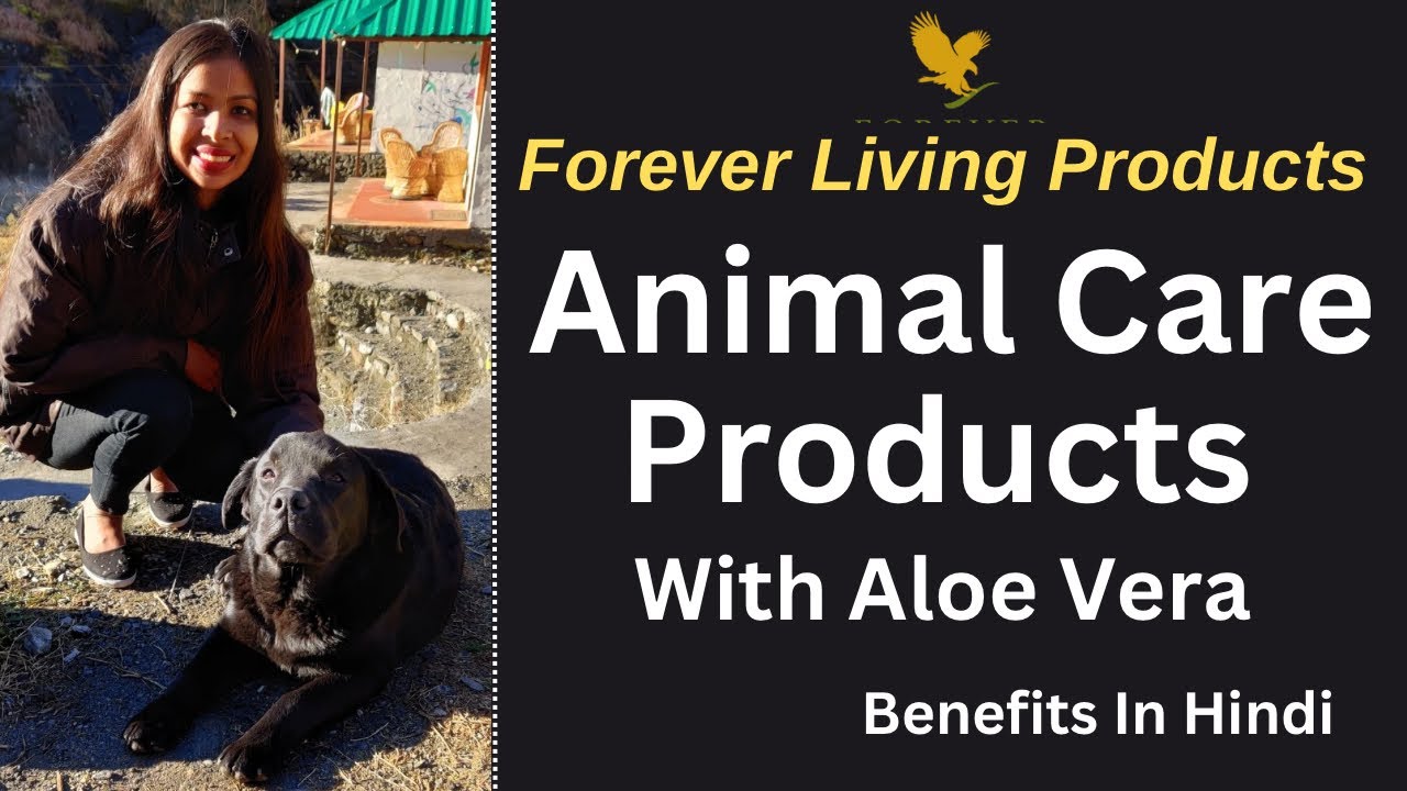 Forever Animal Care Products | Aloe Vera Benefits for Your Pets | FLP ...