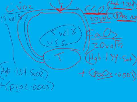 O2 Dissociation Curve and O2 Transport Equations - YouTube