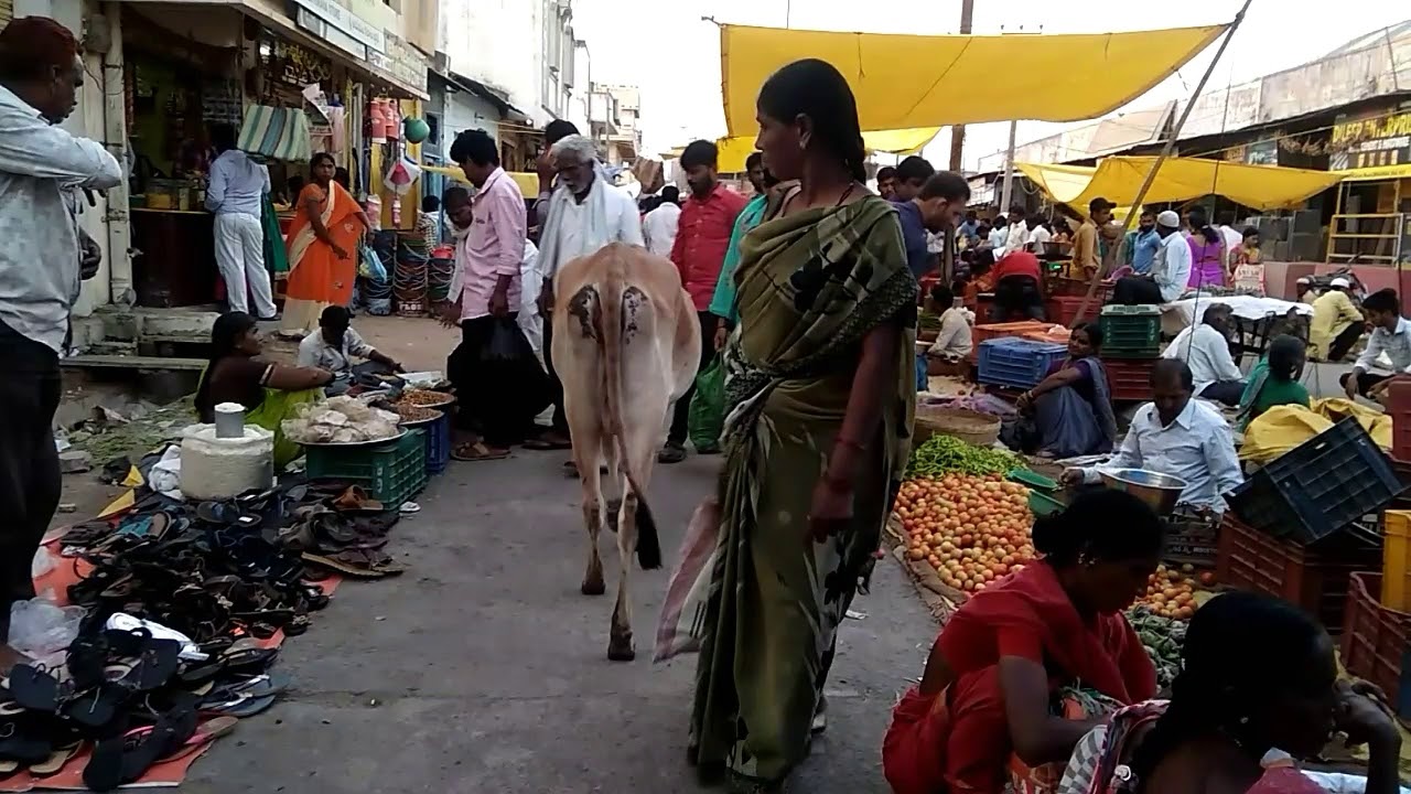 Bhainsa market - YouTube