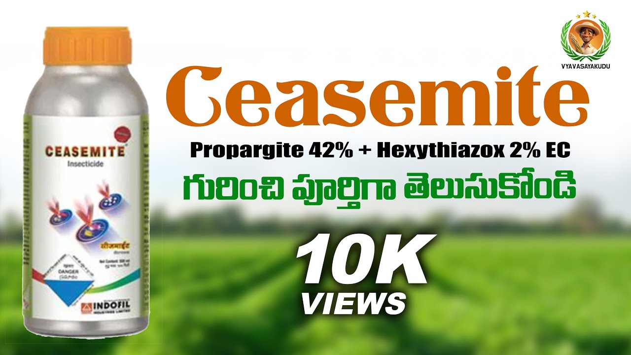 Ceasemite Pesticide - ఇండోఫిల్ సిజ్ మైట్ గురించి తెలుసుకోండి ...