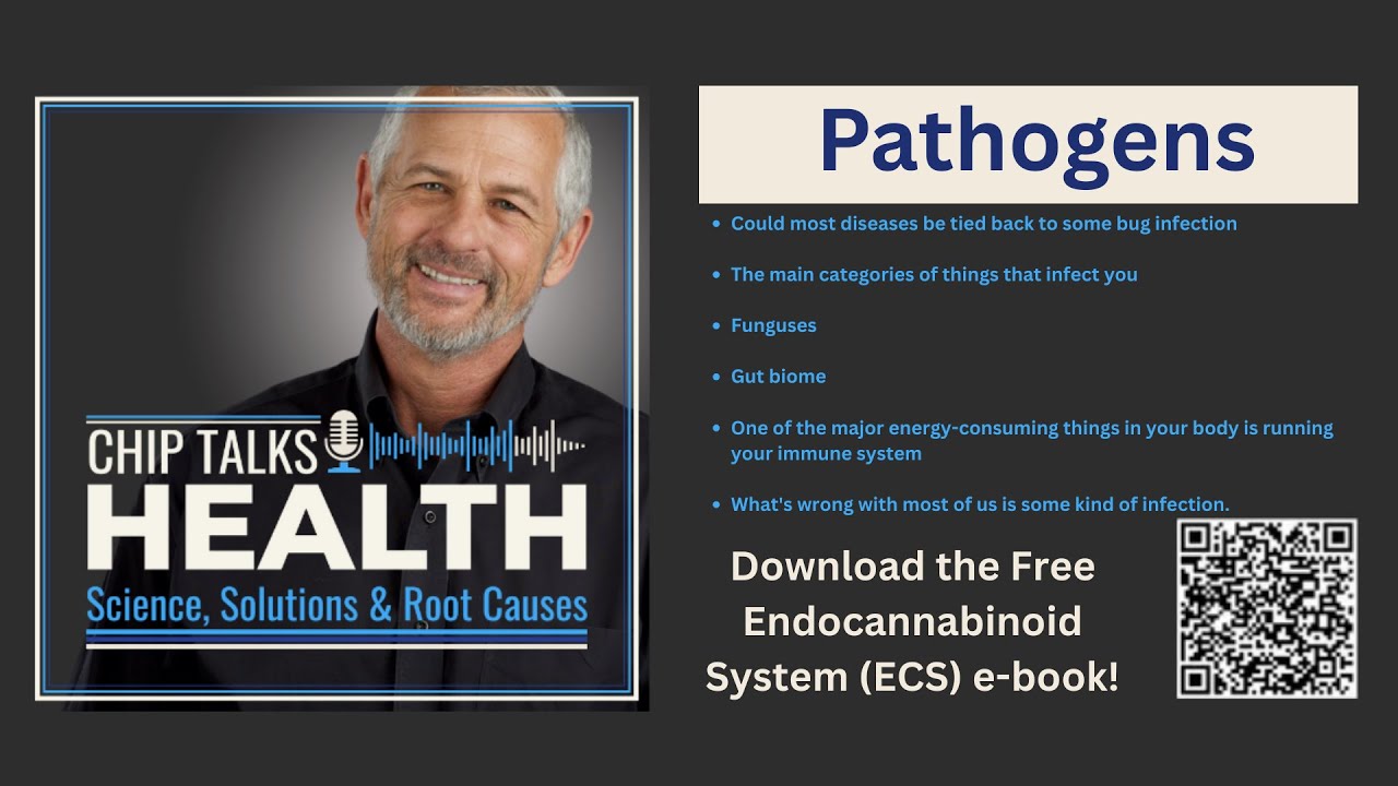 Pathogens and the Immune System - YouTube