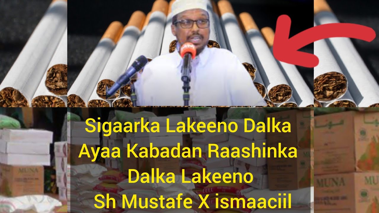 Sigaarka Lakeeno Dalka Ayaa Kabadan Raashinka Dalka Lakeeno Sh Mustafe ...