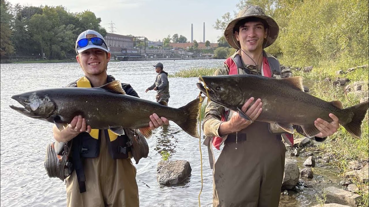 Fishing Oswego River for Angry King Salmon - YouTube