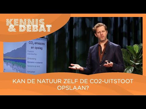 Wat legt het beste CO² vast in de natuur? | Appy Sluijs | Kennis ...