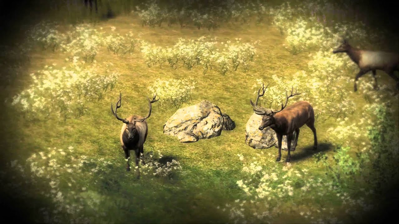The Hunter pc game - 6 Bull elk group HD 1080p - YouTube