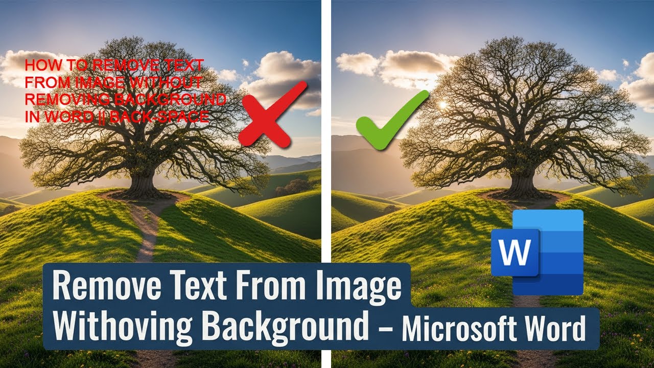 How to remove text from image without removing background in word ...