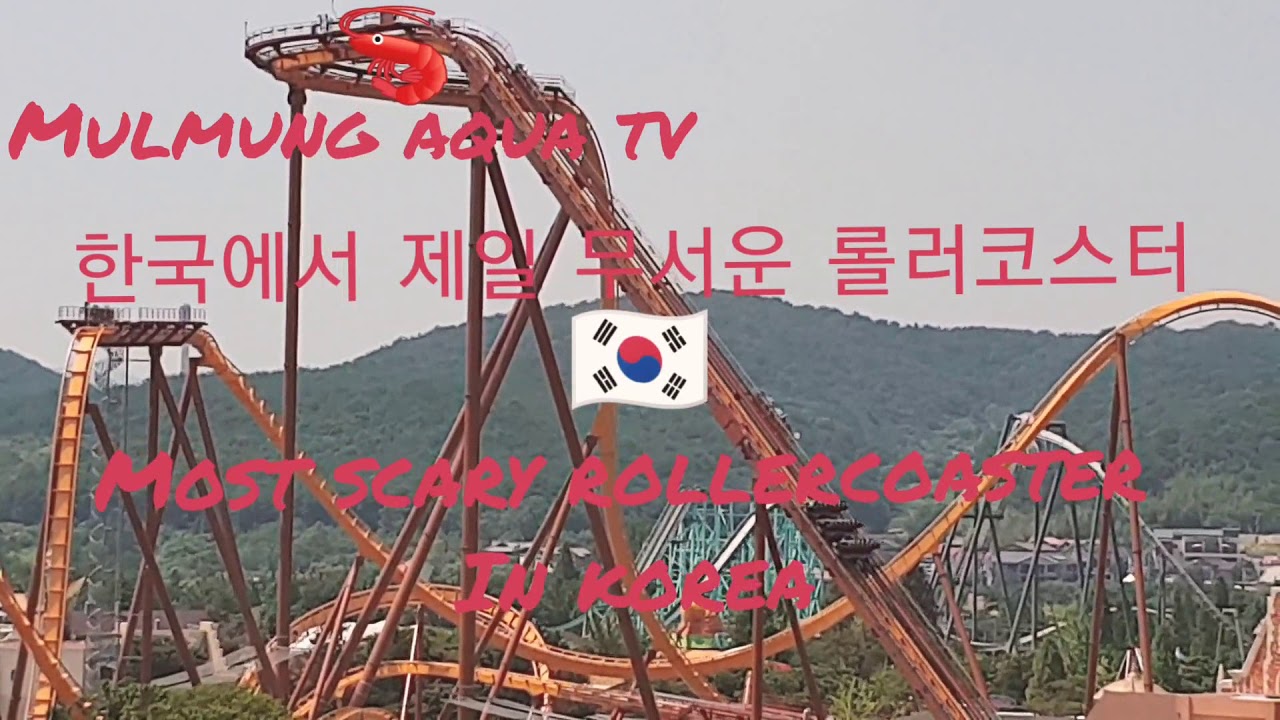물멍 힐링, 한국에서 제일 무서운 롤러코스터, 경주월드 드라켄, 수직낙하 롤러코스터| Most scary roller ...