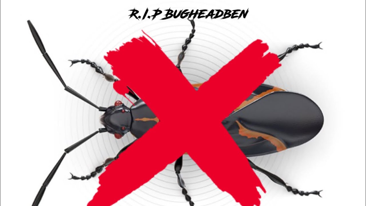 rip bug ig - YouTube